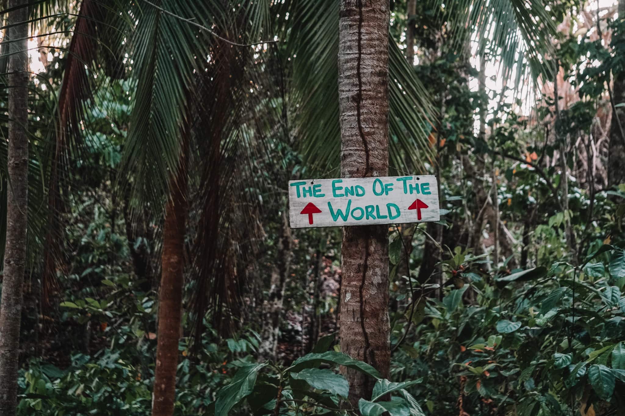 Costa Rica Elopement Wedding Guide (updated for 2021)